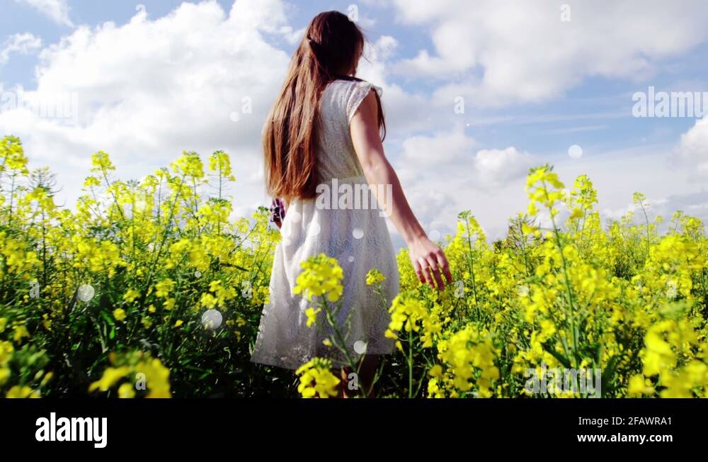 Flower effects Stock Videos & Footage - HD and 4K Video Clips - Alamy