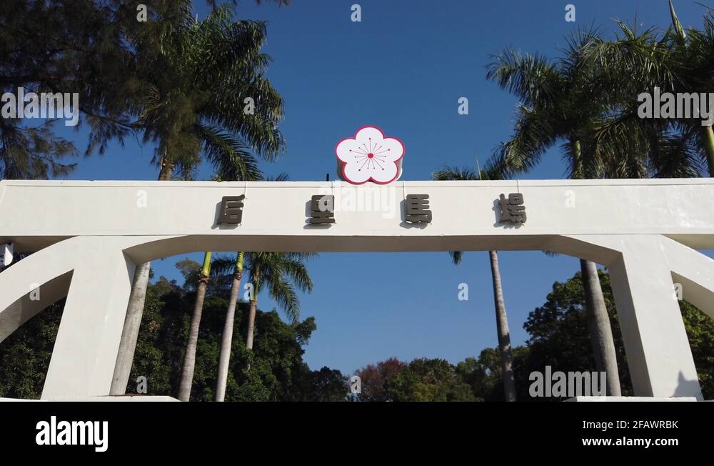 Flora of taiwan Stock Videos & Footage - HD and 4K Video Clips - Alamy