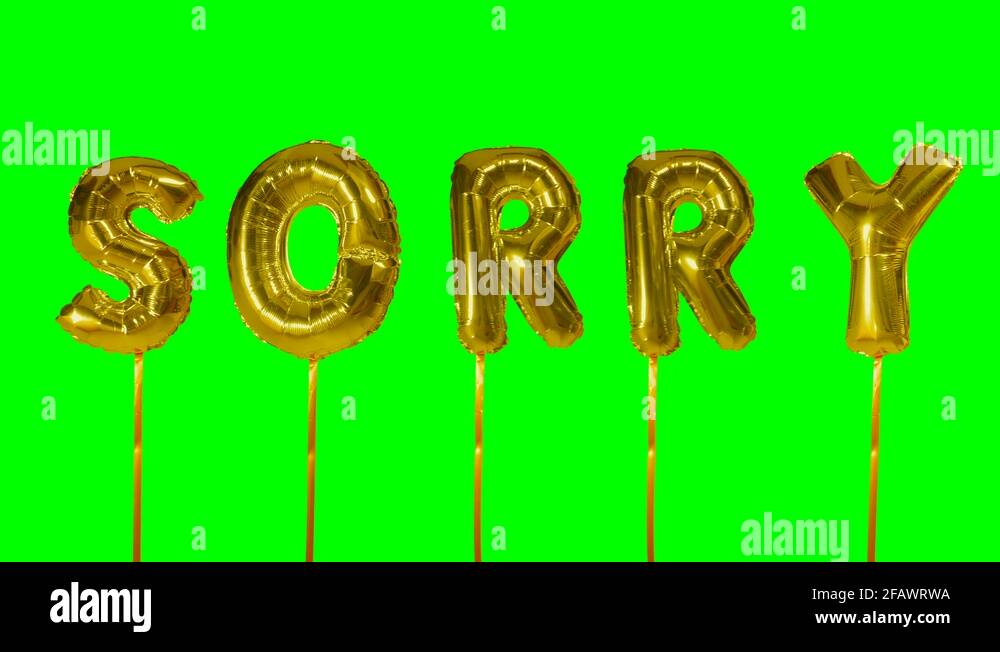 Word sorry from helium golden balloon letters floating on green screen ...