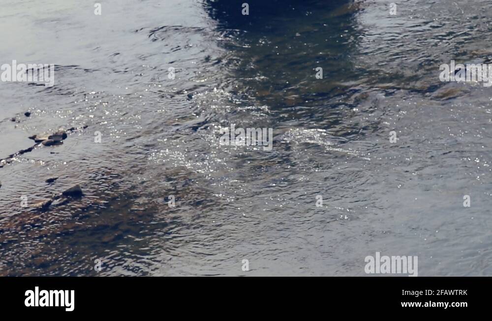 Slow water flow. Sun reflecting in the water. Water texture, waves ...