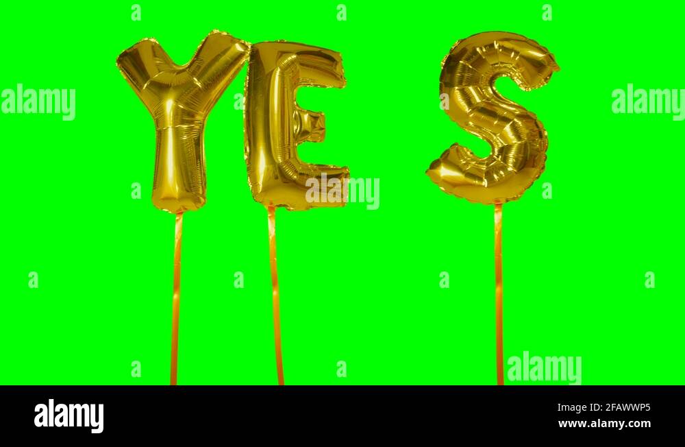 Word yes from helium golden balloon letters floating on green screen ...