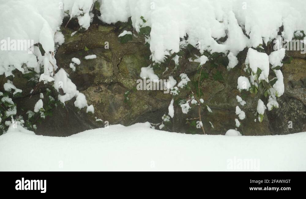 Snow retaining Stock Videos & Footage - HD and 4K Video Clips - Alamy