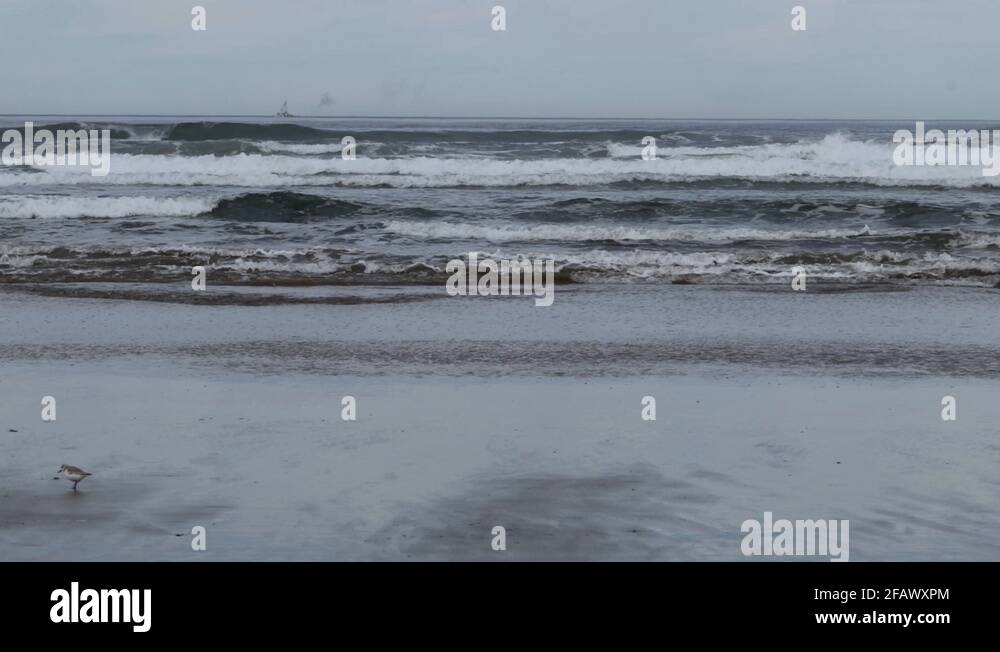 A commercial fishing boat puffing out smoke in the distance on the ...