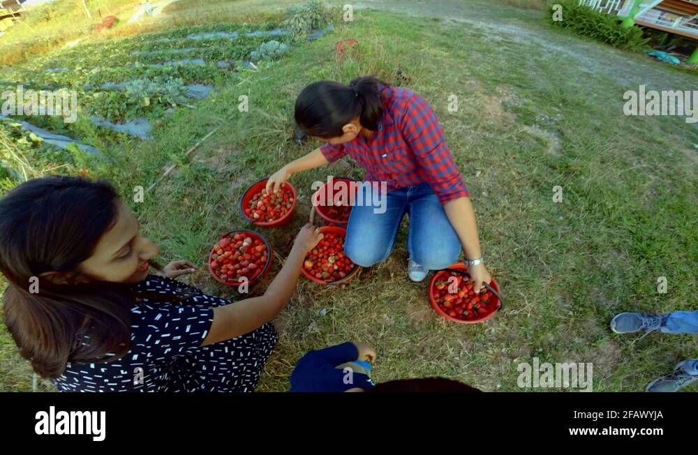 Self sorting Stock Videos & Footage - HD and 4K Video Clips - Alamy