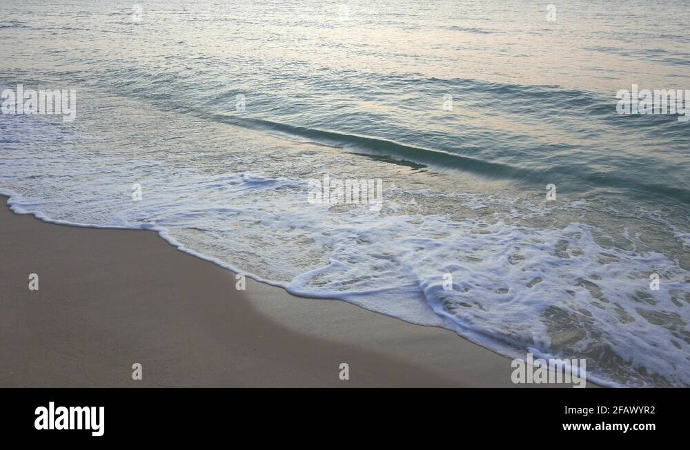 Pristine beach on the sunshine coast Stock Videos & Footage - HD and 4K ...