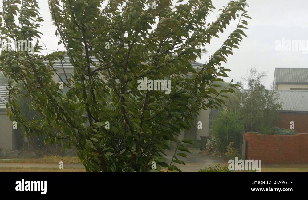 Sideways rain Stock Videos & Footage - HD and 4K Video Clips - Alamy