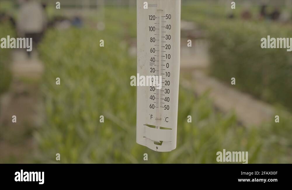 Temperature in indoor farm Stock Videos & Footage - HD and 4K Video ...