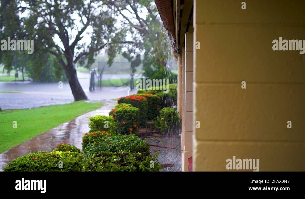 Gutter blocked Stock Videos & Footage - HD and 4K Video Clips - Alamy