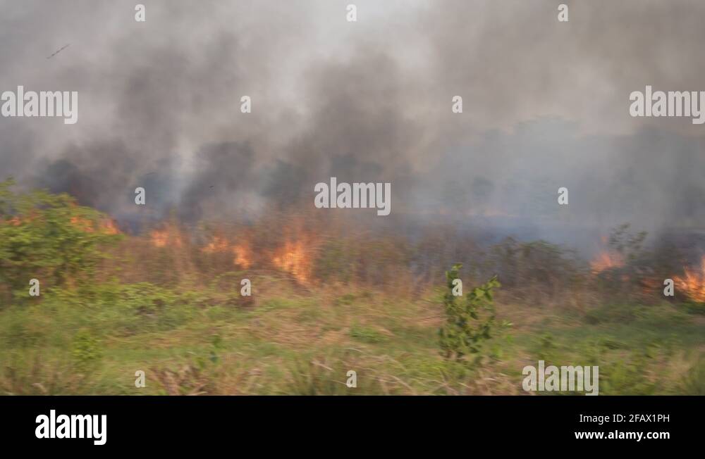 Severe burn fire person Stock Videos & Footage - HD and 4K Video Clips ...