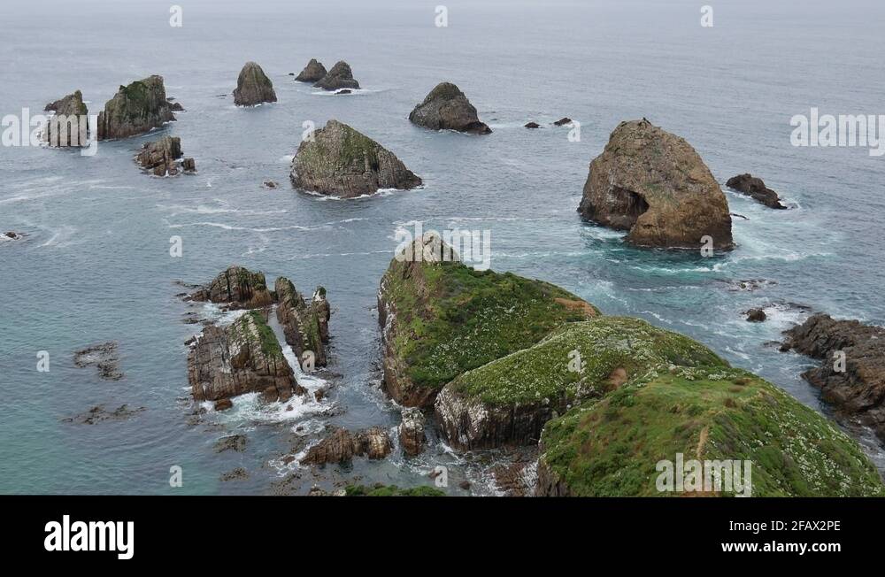 Nugget point new zealand Stock Videos & Footage - HD and 4K Video Clips ...
