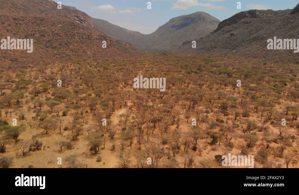 Maasai sacred Stock Videos & Footage - HD and 4K Video Clips - Alamy