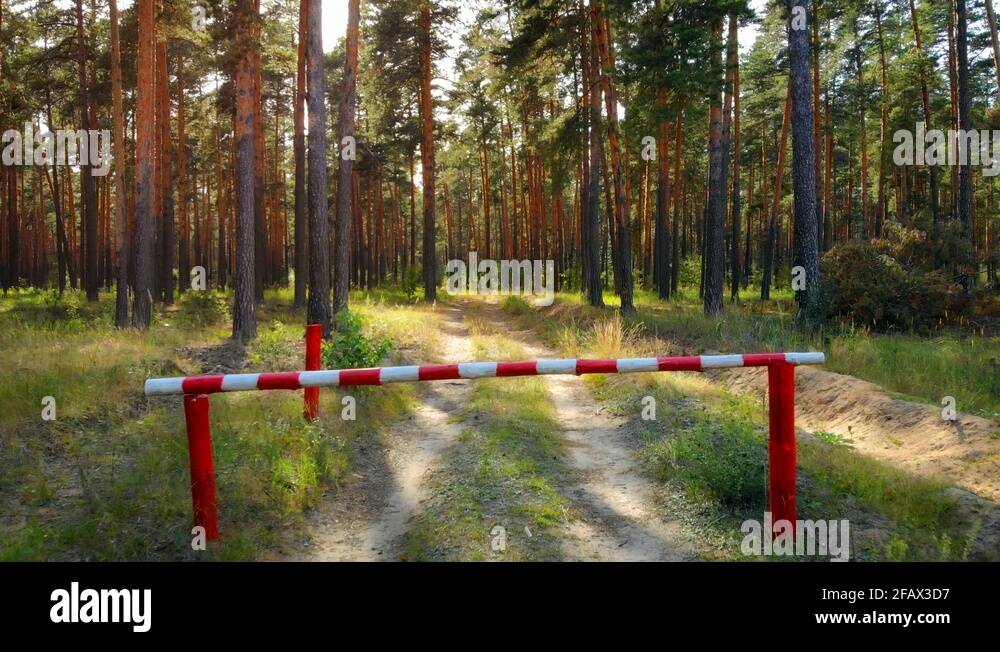 Barricade Stops Vehicle Access through Russian Forest Wilderness Trail ...