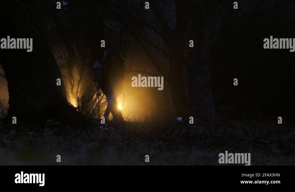 Spooky person in the woods Stock Videos & Footage - HD and 4K Video ...