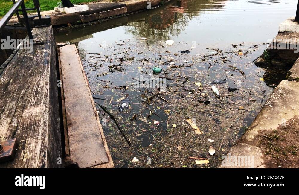 Litter in canal Stock Videos & Footage - HD and 4K Video Clips - Alamy