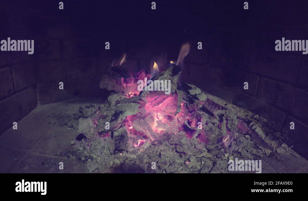 Burnt out log Stock Videos & Footage - HD and 4K Video Clips - Alamy