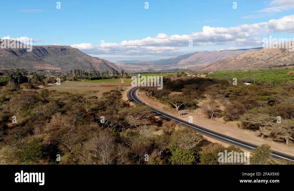 South african bush Stock Videos & Footage - HD and 4K Video Clips - Alamy