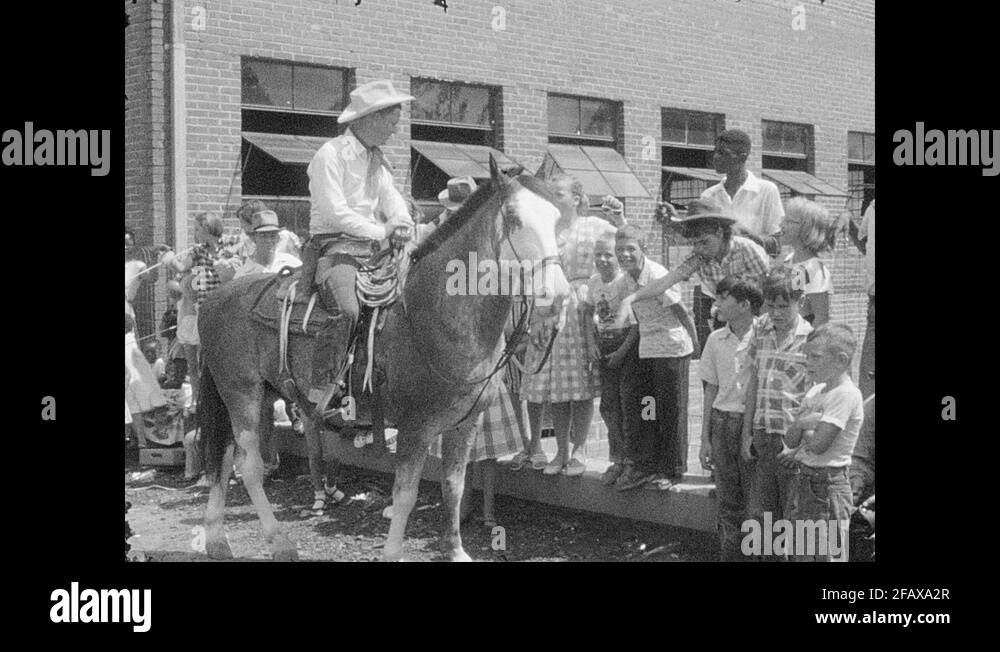 Clap horse Stock Videos & Footage - HD and 4K Video Clips - Alamy