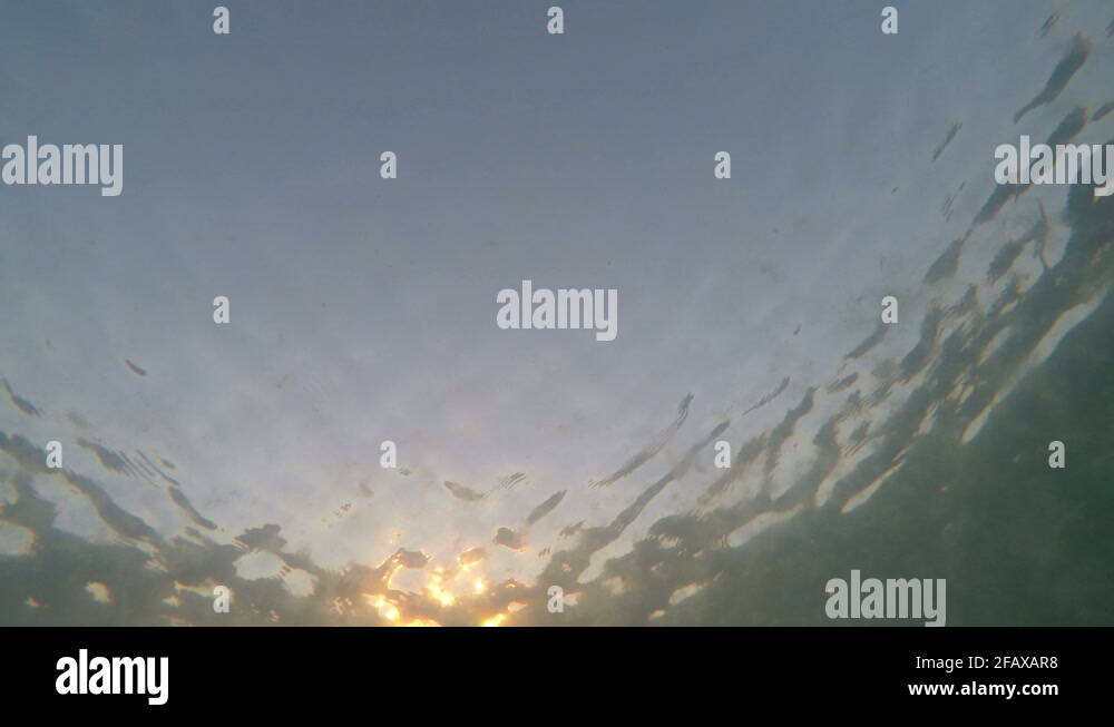 Floating algae under ripple surface of water Stock Video Footage - Alamy