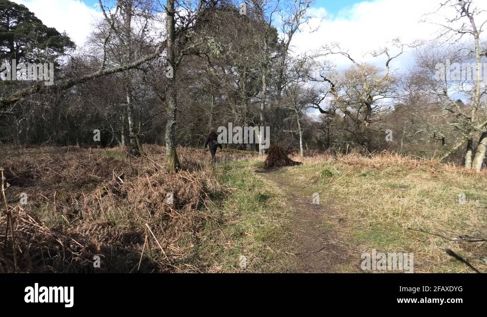 Path stops Stock Videos & Footage - HD and 4K Video Clips - Alamy