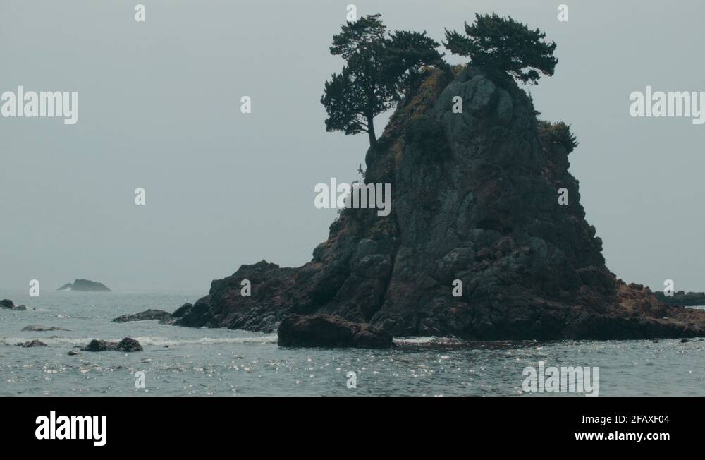 In the izu peninsula japan Stock Videos & Footage - HD and 4K Video ...