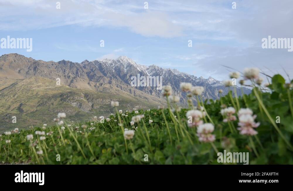 Mount new zealand Stock Videos & Footage - HD and 4K Video Clips - Alamy