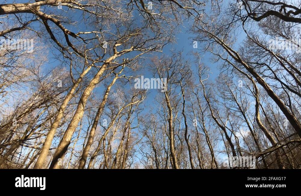 Cinematic scenery Stock Videos & Footage - HD and 4K Video Clips - Alamy