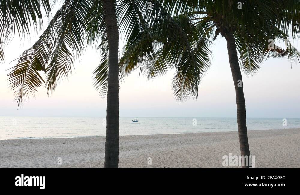 Tripod silhouette Stock Videos & Footage - HD and 4K Video Clips - Alamy