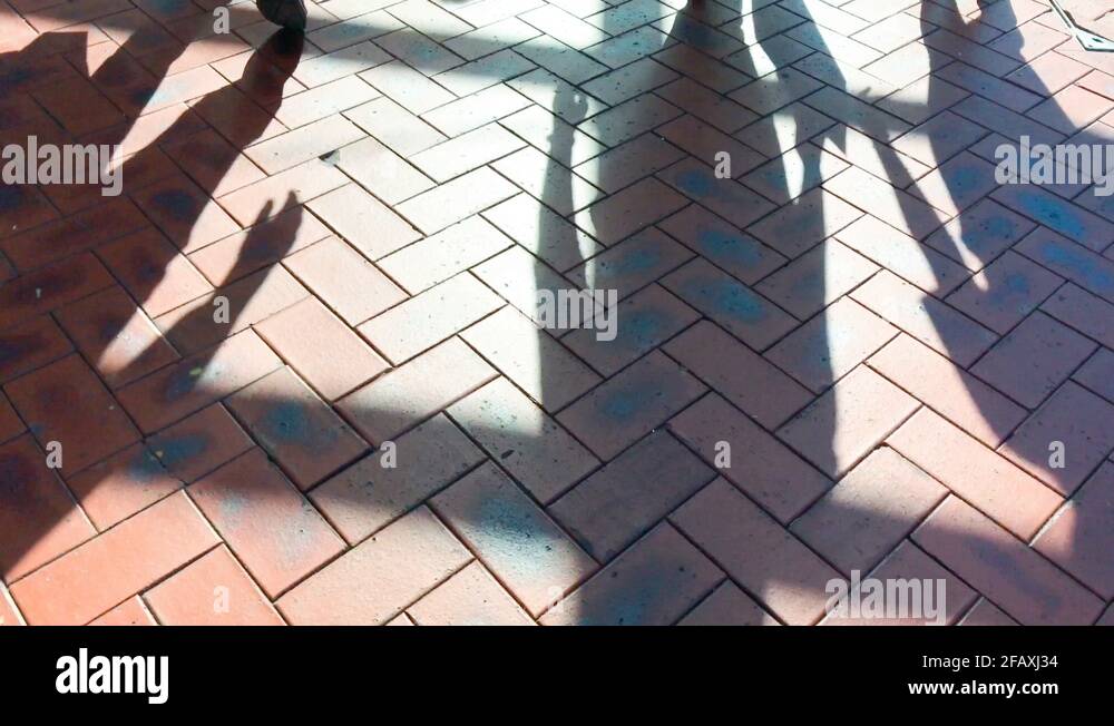 Shadows silhouette silhouettes walk Stock Videos & Footage - HD and 4K ...