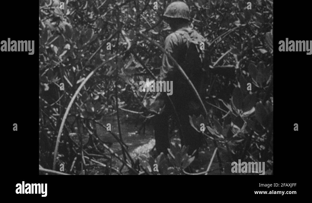 Dead bodies lay on ground Stock Videos & Footage - HD and 4K Video ...