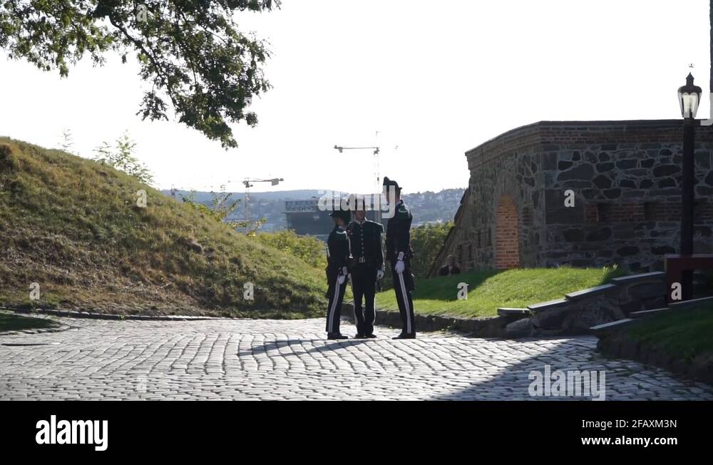 Norwegian defence force Stock Videos & Footage - HD and 4K Video Clips ...