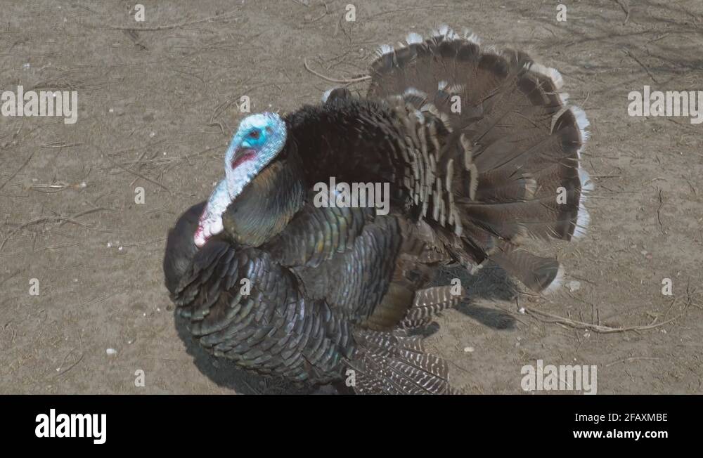 Be place 2 Stock Videos & Footage - HD and 4K Video Clips - Alamy