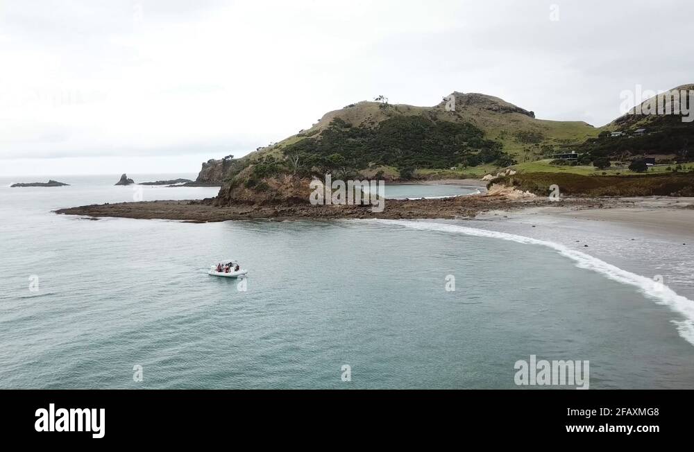 Sea legs Stock Videos & Footage - HD and 4K Video Clips - Alamy
