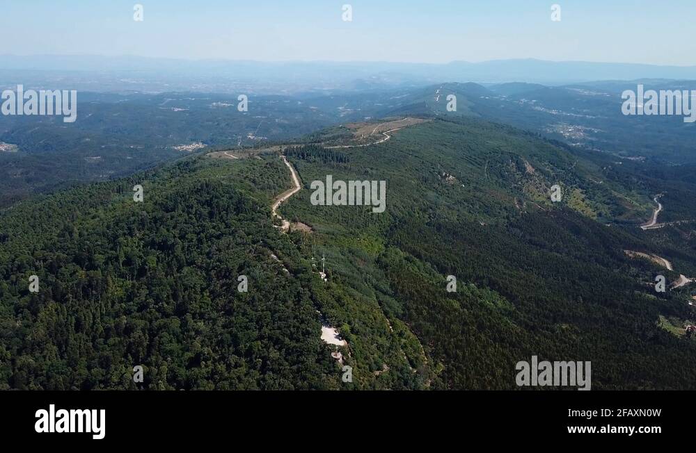 Bucaco national forest Stock Videos & Footage - HD and 4K Video Clips ...