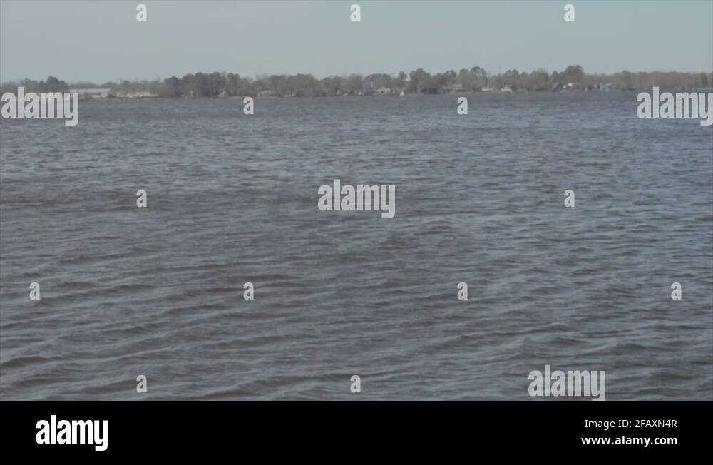 Neuse river Stock Videos & Footage - HD and 4K Video Clips - Alamy