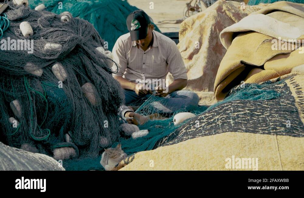 Sky blue netting fish Stock Videos & Footage - HD and 4K Video Clips ...