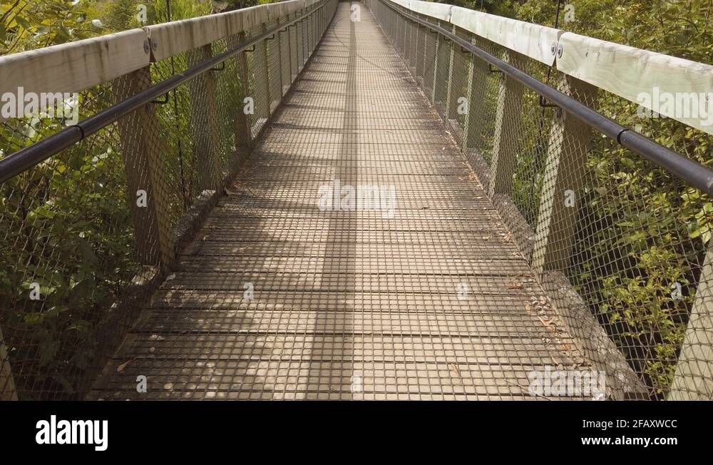 Canopy trail bridge Stock Videos & Footage - HD and 4K Video Clips - Alamy