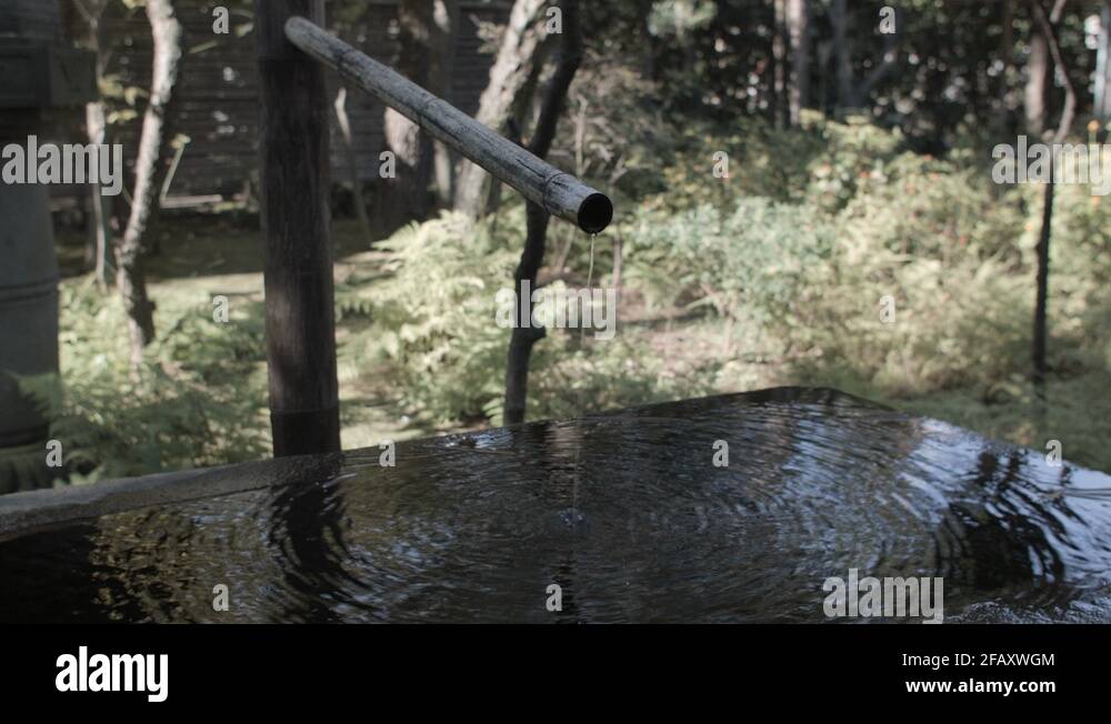Tsukubai Water Fountain Basin in a Japanese Holy Garden in Tokyo Stock ...