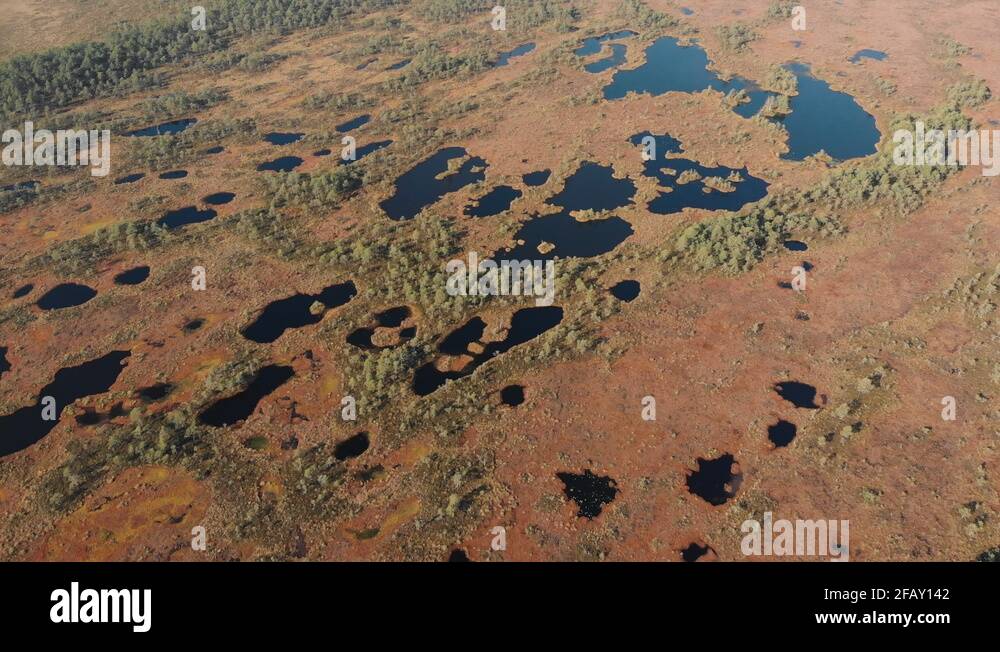 Pools ponds Stock Videos & Footage - HD and 4K Video Clips - Alamy