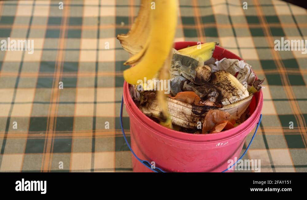 Food waste home Stock Videos & Footage - HD and 4K Video Clips - Alamy