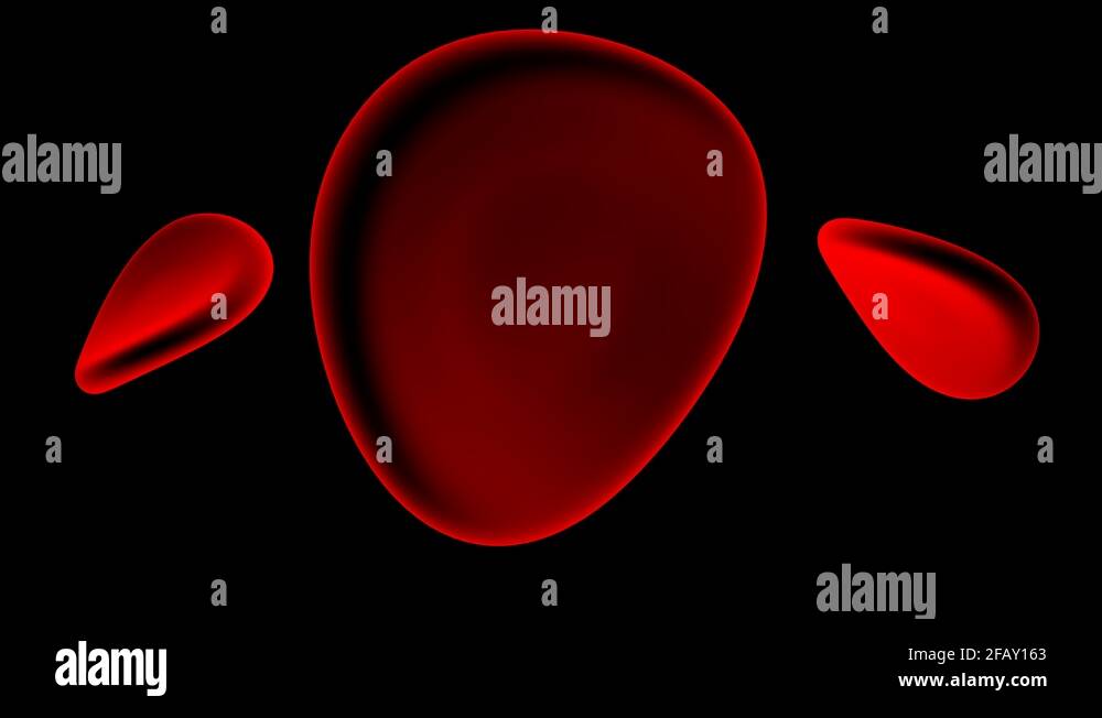 Rotating red blood cells animation against a black background Stock ...