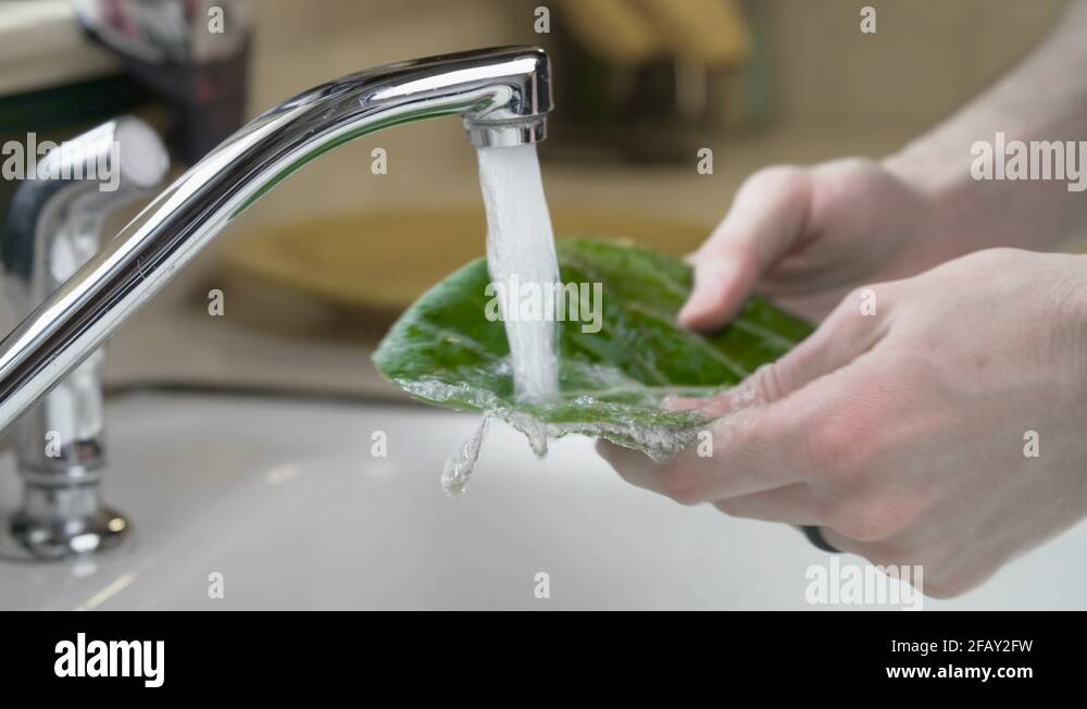Washing Collard Greens in Kitchen Sink SLIDE RIGHT SLOW MOTION Stock ...