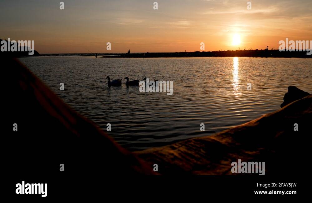 At the river sele Stock Videos & Footage - HD and 4K Video Clips - Alamy
