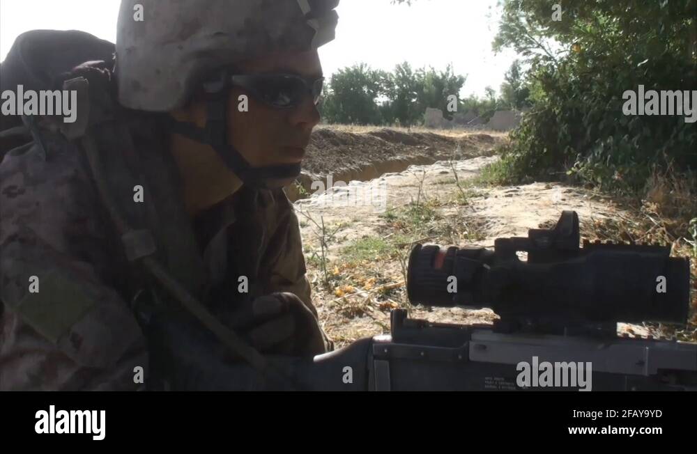 1st reconnaissance battalion Stock Videos & Footage - HD and 4K Video ...