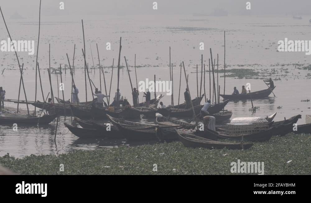 Rowing ferry Stock Videos & Footage - HD and 4K Video Clips - Alamy