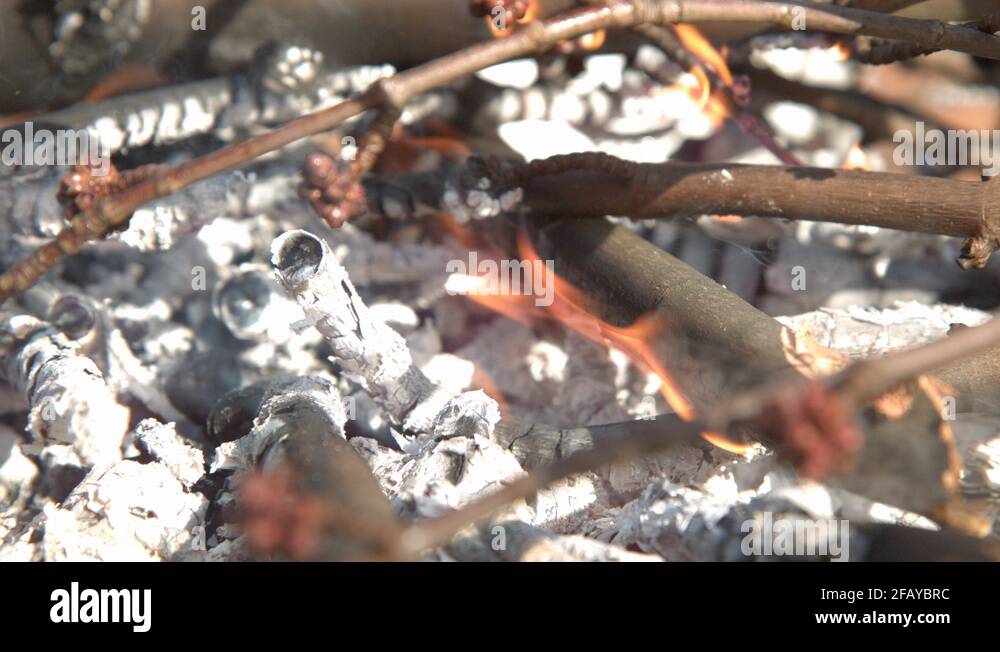 Pile of sticks Stock Videos & Footage - HD and 4K Video Clips - Alamy
