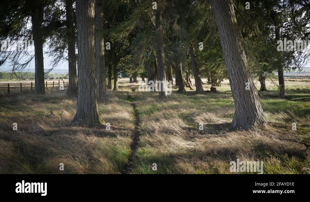 Windy track Stock Videos & Footage - HD and 4K Video Clips - Alamy