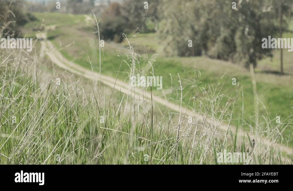 Hidden nature trail Stock Videos & Footage - HD and 4K Video Clips - Alamy