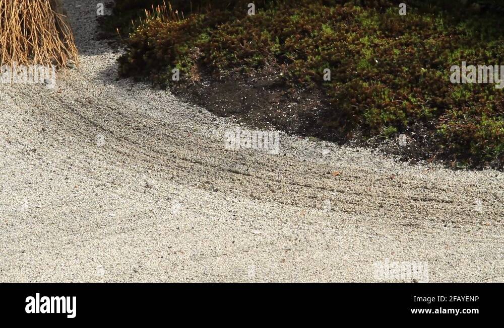 Rock sand garden Stock Videos & Footage - HD and 4K Video Clips - Alamy