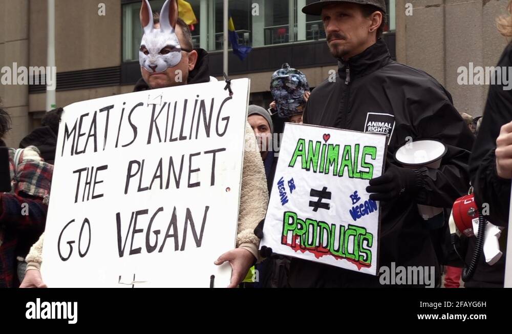 Vegan signs Stock Videos & Footage - HD and 4K Video Clips - Alamy