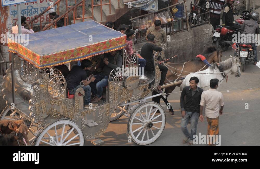 Old indian horse and cart Stock Videos & Footage - HD and 4K Video ...